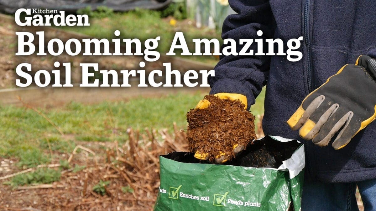 Video: Blooming Amazing Soil Enricher - Mudketeers