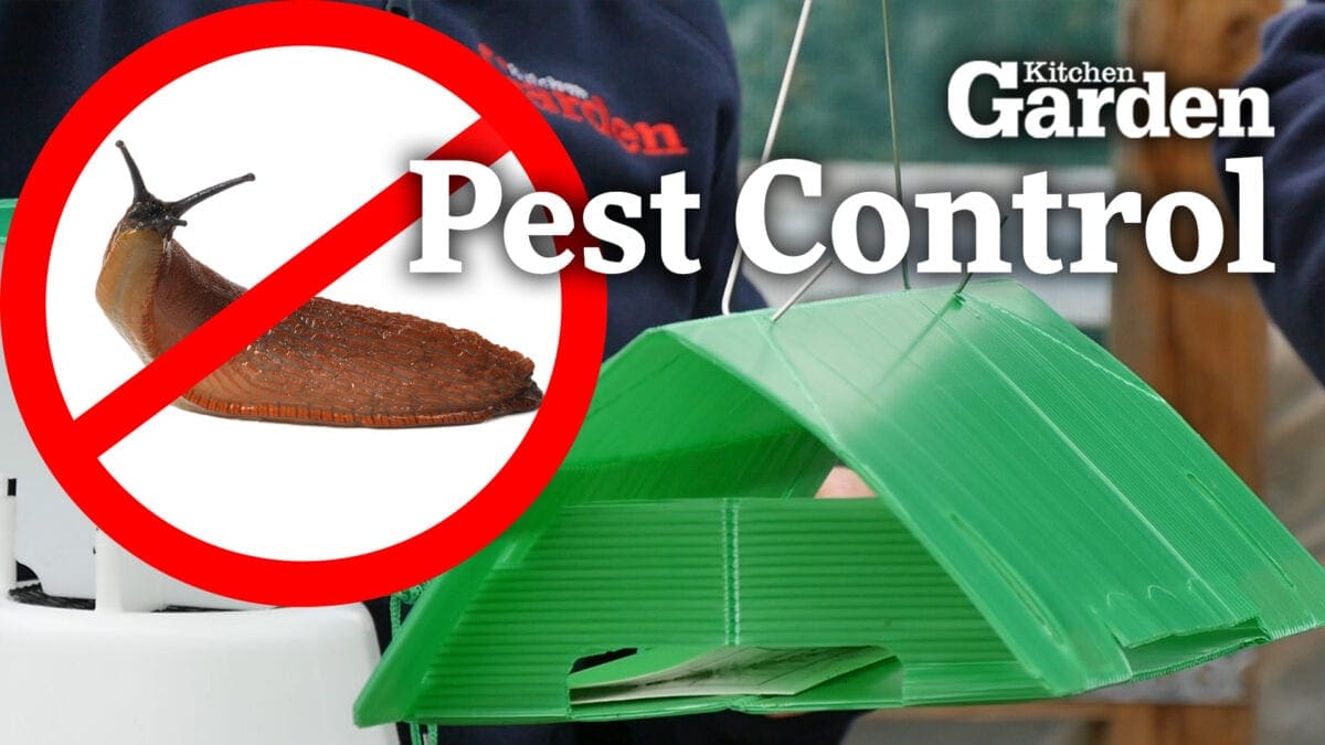 Video: The Best Traps to Stop Pests in the Garden - Mudketeers