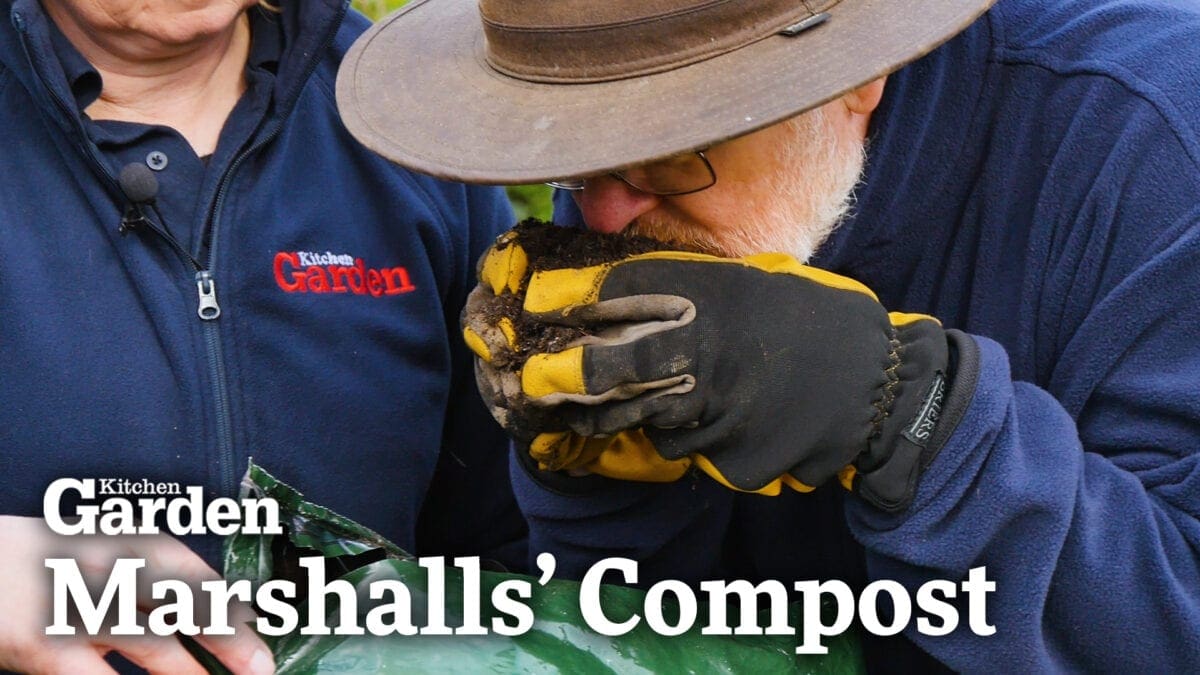 Video: Amazing Compost to Use on Your Plot - Mudketeers