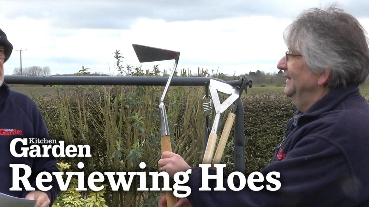 Video: Reviewing our Favourite Hoes - Mudketeers