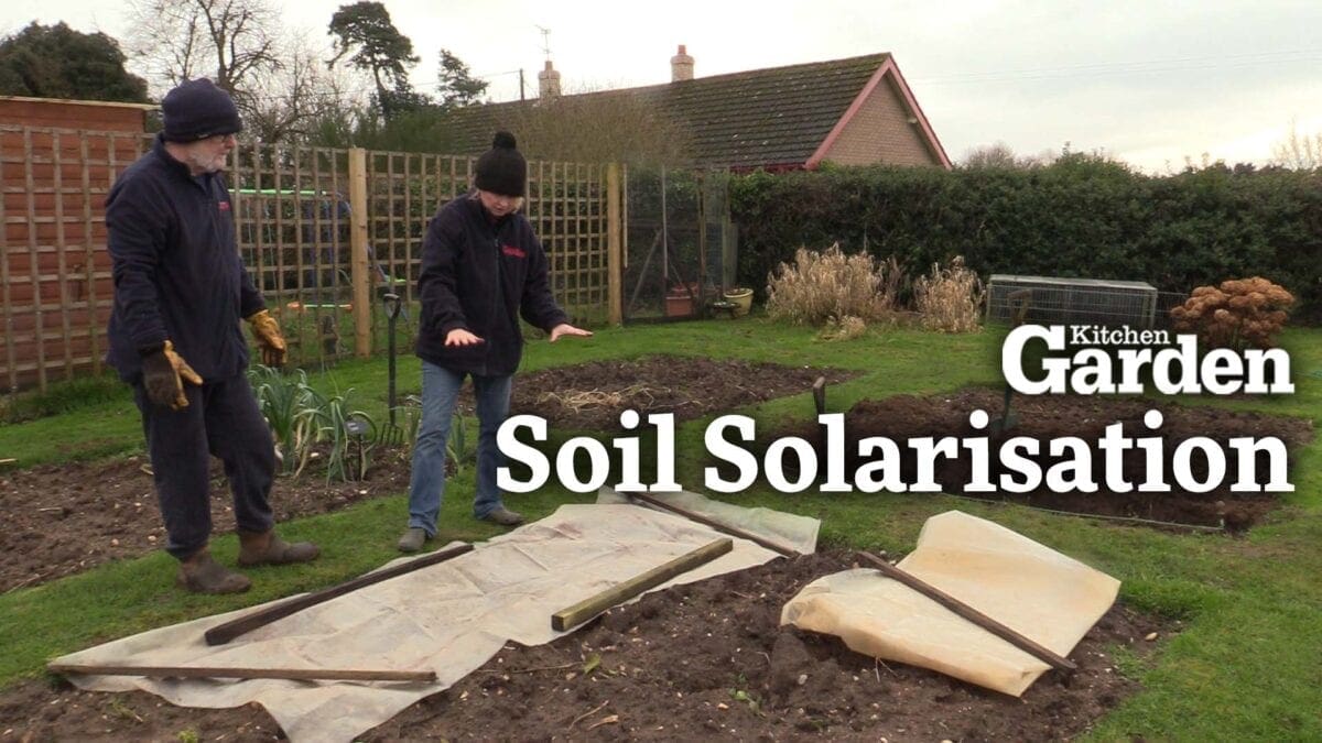 Video: Soil Solarisation - Mudketeers